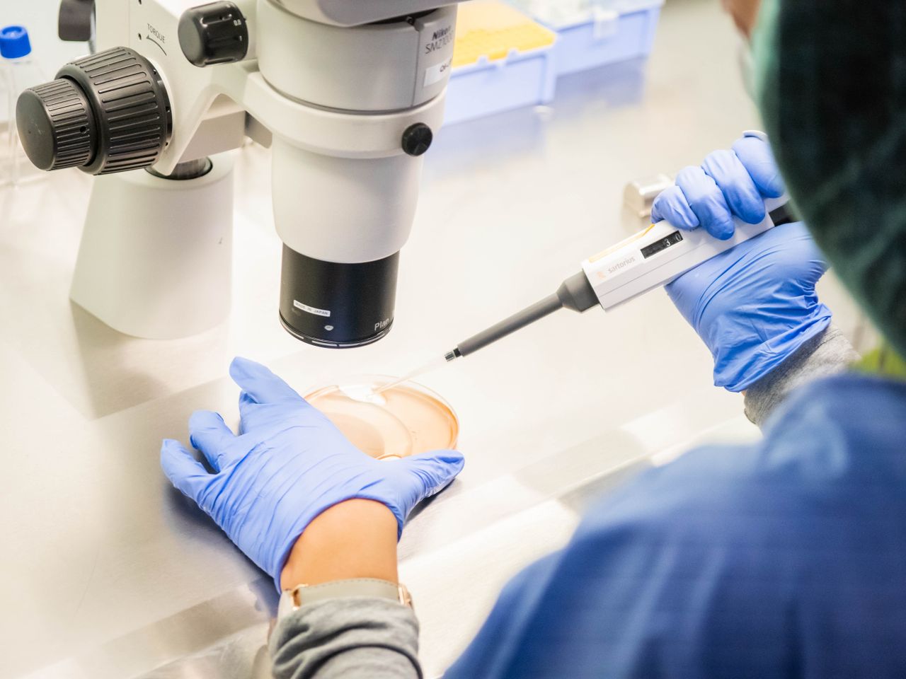 Comment fonctionne l'AMP